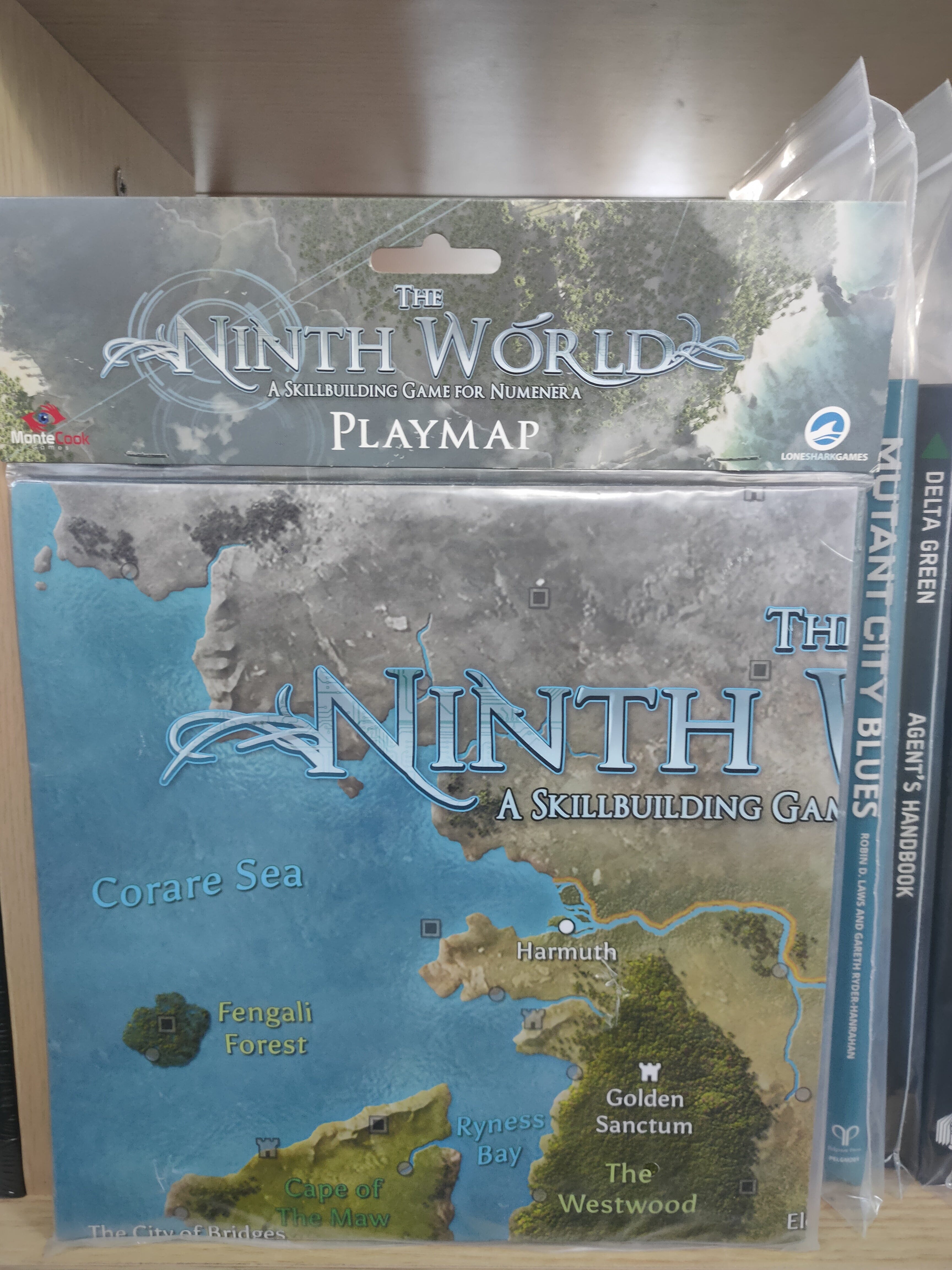 The Ninth World: Play Map – Battlefield Bangkok